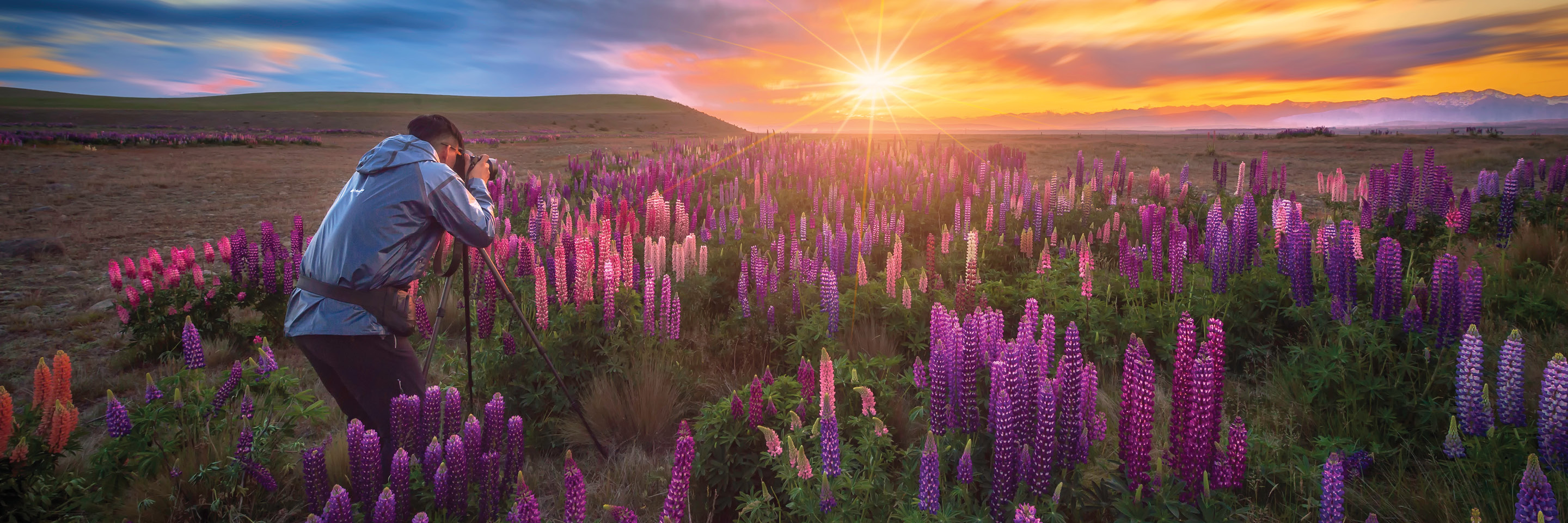 South Pacific Tours - Globus Independent South Pacific