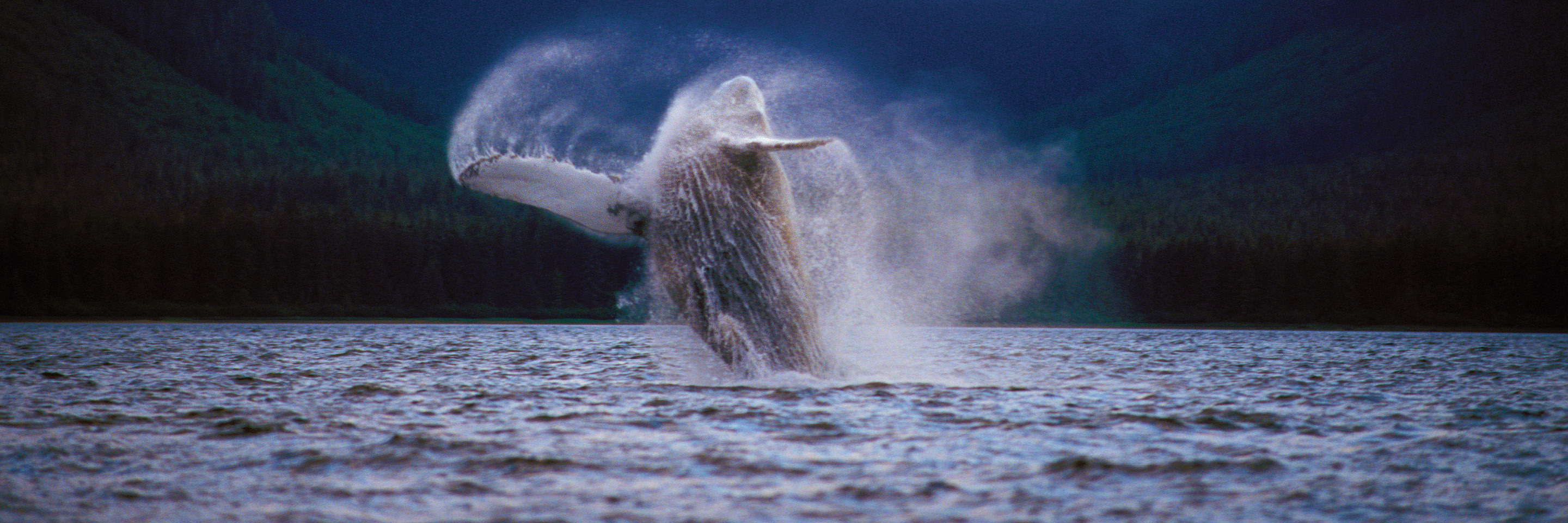 Alaska Cruise & Tour - Cosmos® Western Canada Vacation