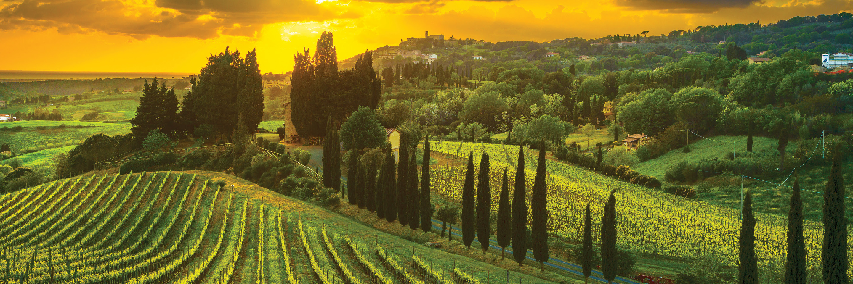 Tuscany Tour - Cosmos® Tuscany, Italy Vacation