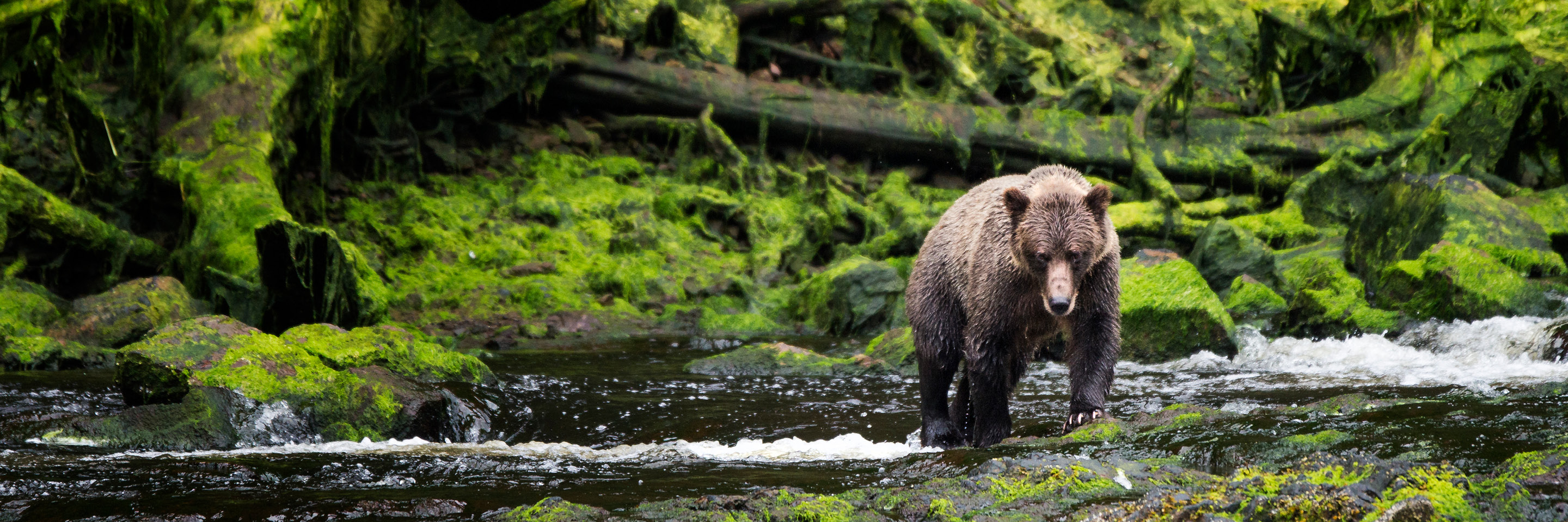 Calgary to Vancouver: Spirit Island Tours & Canadian Rockies