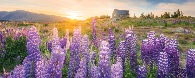 Highlights of New Zealand - Cosmos® New Zeland