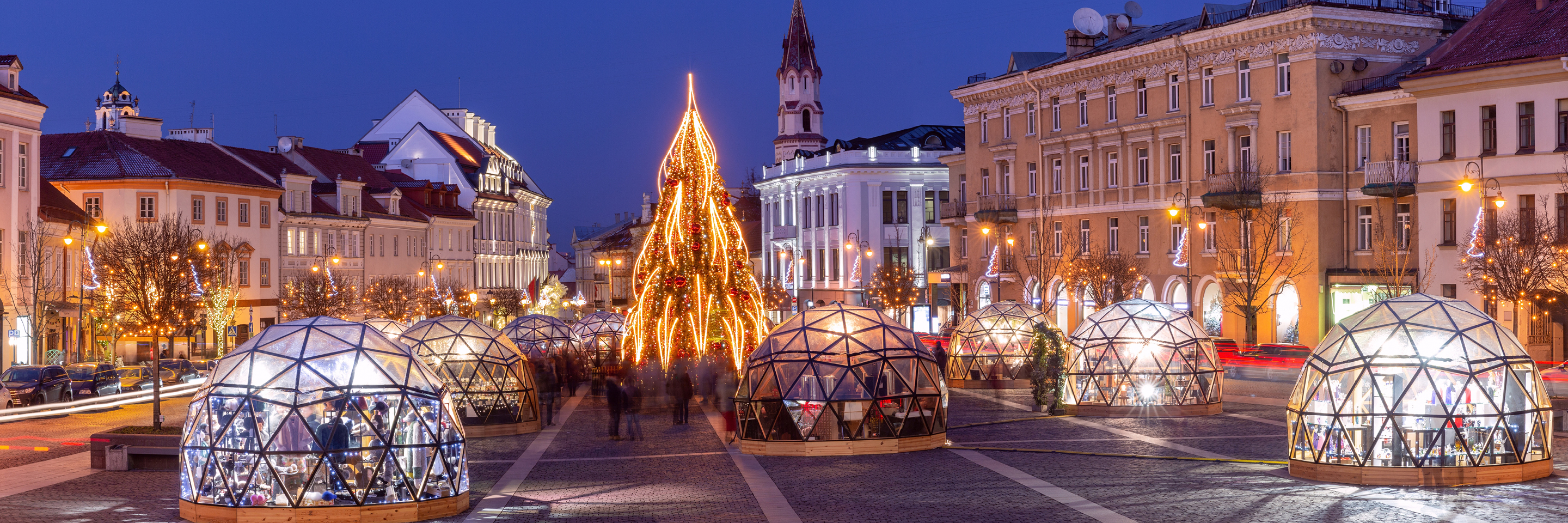 Experience a Baltic Christmas Market Tour | Globus