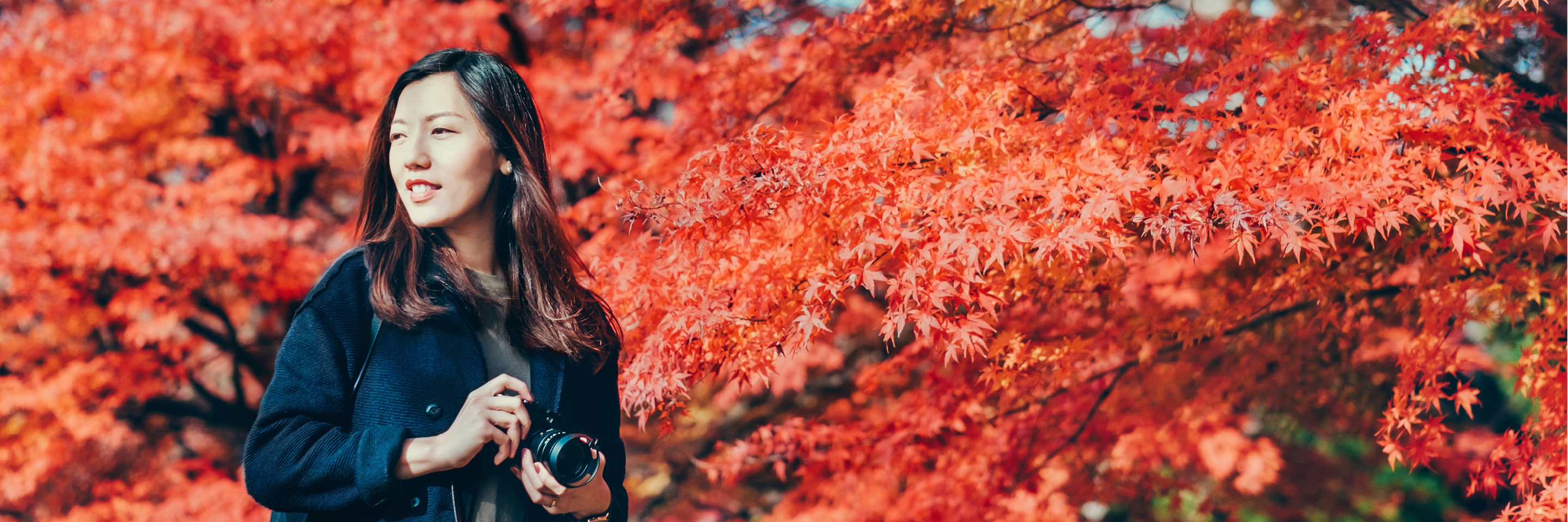 Cosmos Vacation Search